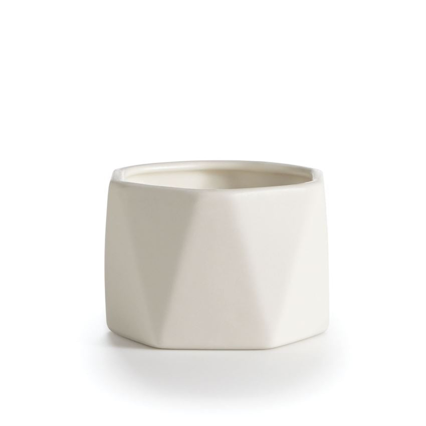Gardenia Dylan Ceramic – Sercy+Co